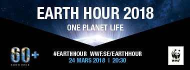 WWF Caserta Organizzazione Aggregata - Sito ufficiale